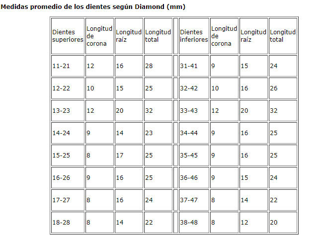 Qué es la macrodoncia y la microdoncia » Clínica Dental Urbina